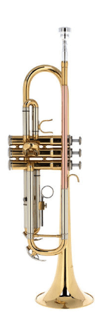 Brass Instruments 7 Differences in Sound & Playing Style - Thomann Blog
