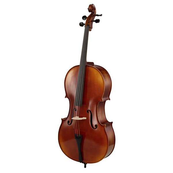 Cello Anatomy of the Instrument for Beginners