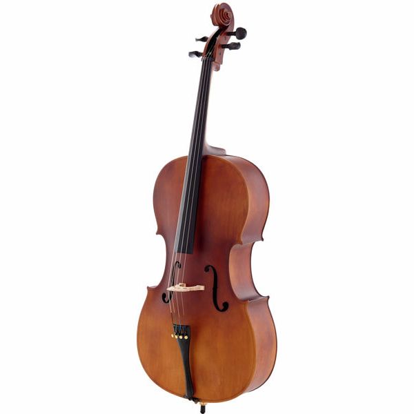 Cello Anatomy of the Instrument for Beginners