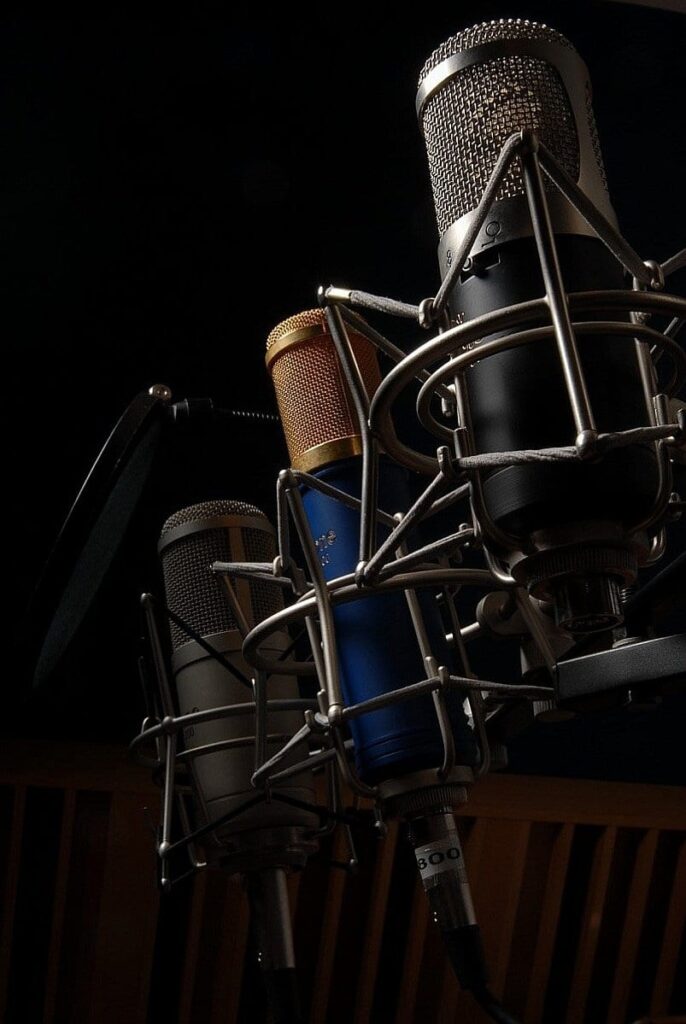 Choisir son Micro de Studio 2 Critères