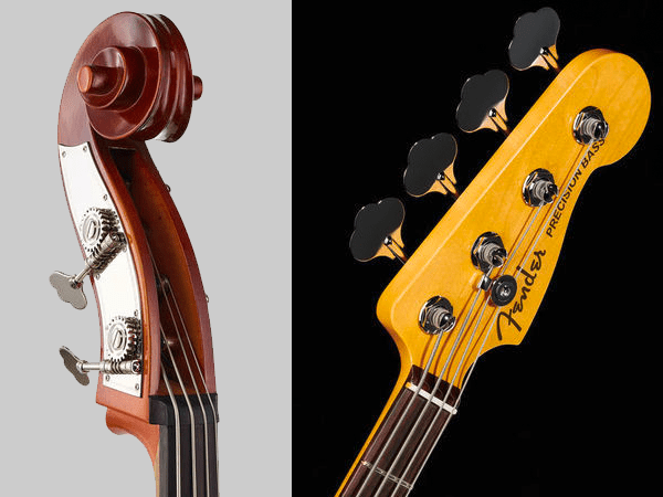 60 Ans d'Evolution de la Basse - Thomann Blog