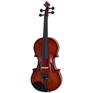 Viool en Altviool Belangrijke Verschillen Uitgelegd