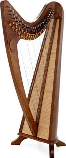 Aperçu des Instruments Traditionnels à Cordes – t.blog