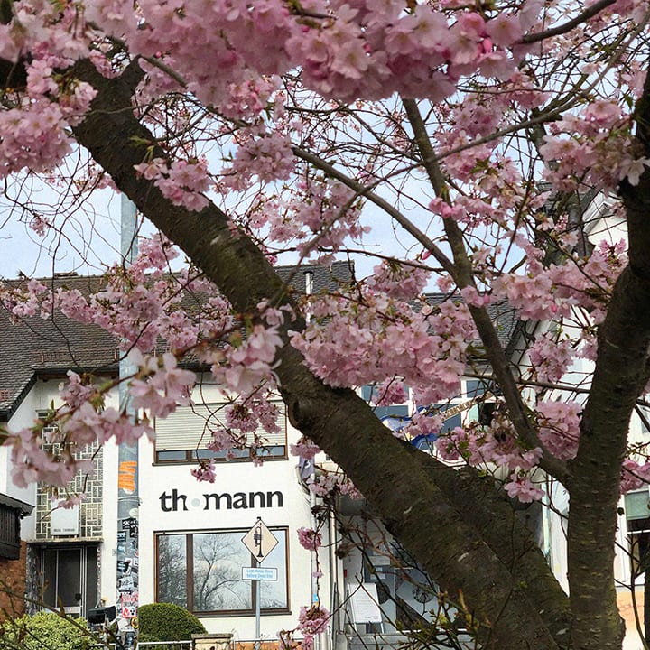 Updated info about visiting us in Treppendorf | t.blog
