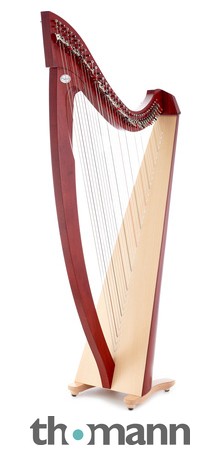 Salvi Titan Mahogany Spario Biocarb. – Thomann Sverige