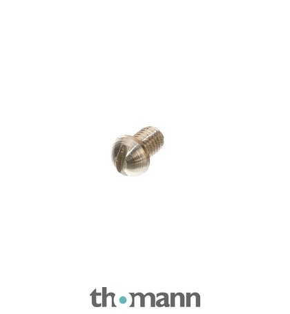 Thomann Strike Iron Screw 4,5x7xM3 NS – Thomann UK