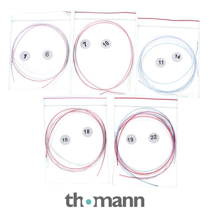 Thomann Lute Harp 22 Strings Set – United States