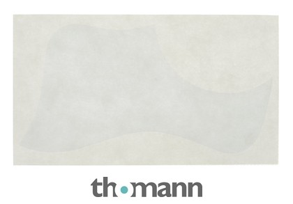 Taylor Pickguard Static Universal – Thomann UK