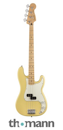 The 10 Best Bass Guitar Brands (2023) - Musician Wave