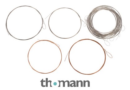Thomann Nataraj Esraj Strings Set – Thomann UK