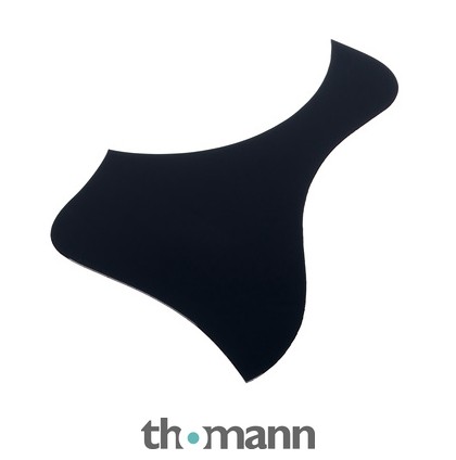 Taylor GS Mini Pickguard Black – United States