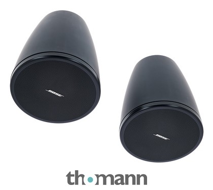 Bose Professional DesignMax DM3P black – United Arab Emirates