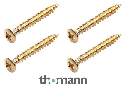 Warwick Screws for Bolt-On Necks G – Thomann UK