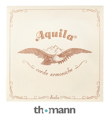 Aquila 190D Wound Nylgut Lute String – Thomann UK