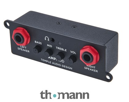 Temple Audio Design AMP MOD Stereo Amp Module – United States