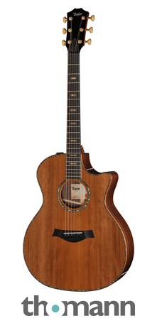 Taylor Custom #7: Horizons – Thomann UK