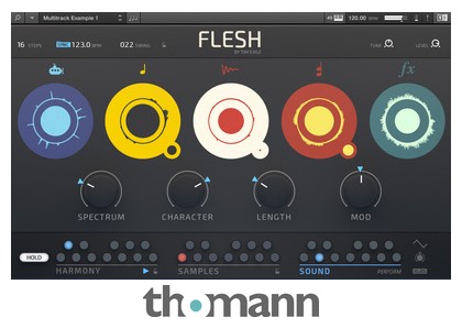 Native Instruments Flesh – Thomann UK