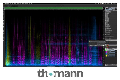 Steinberg SpectraLayers Elements 12 – Thomann UK