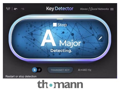 Waves Key Detector – United States