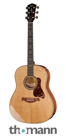 Taylor Gold Label 817e B-Stock – Musikhaus Thomann