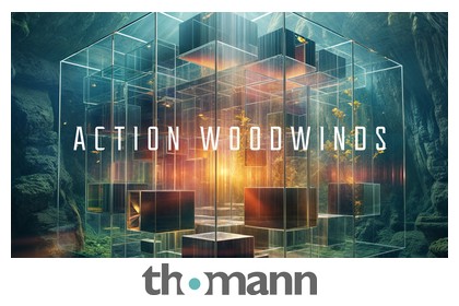 Native Instruments Action Woodwinds – Thomann Danmark