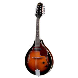 Buy Bluegrass Instruments at Thomann – United Arab Emirates